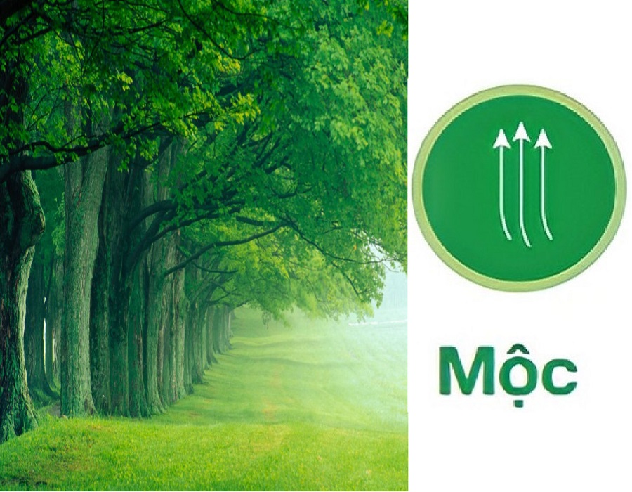 HÀNH MỘC (木) TRONG NGŨ HÀNH - phucphongthuy.com